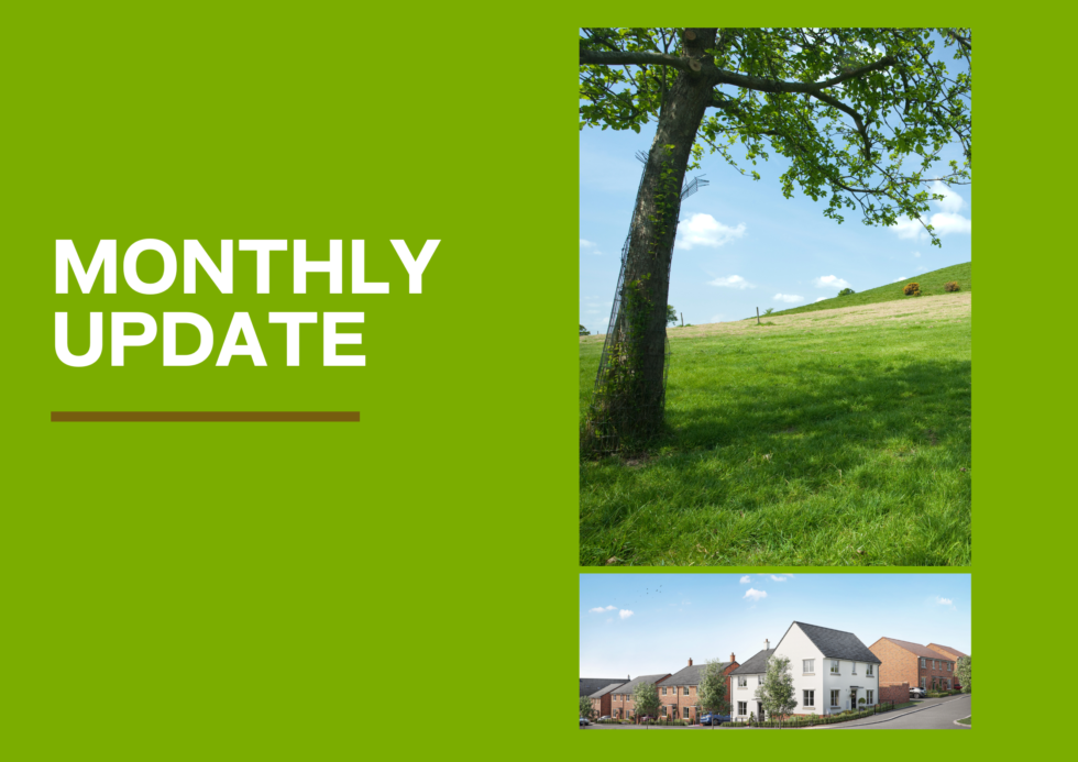 News | Welcome to Orchard Grove